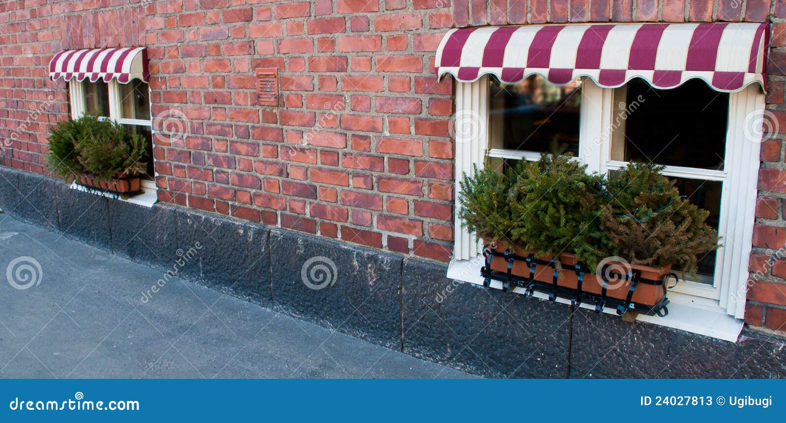 Purple window stock image. Image of wall, windows, plants - 24027813