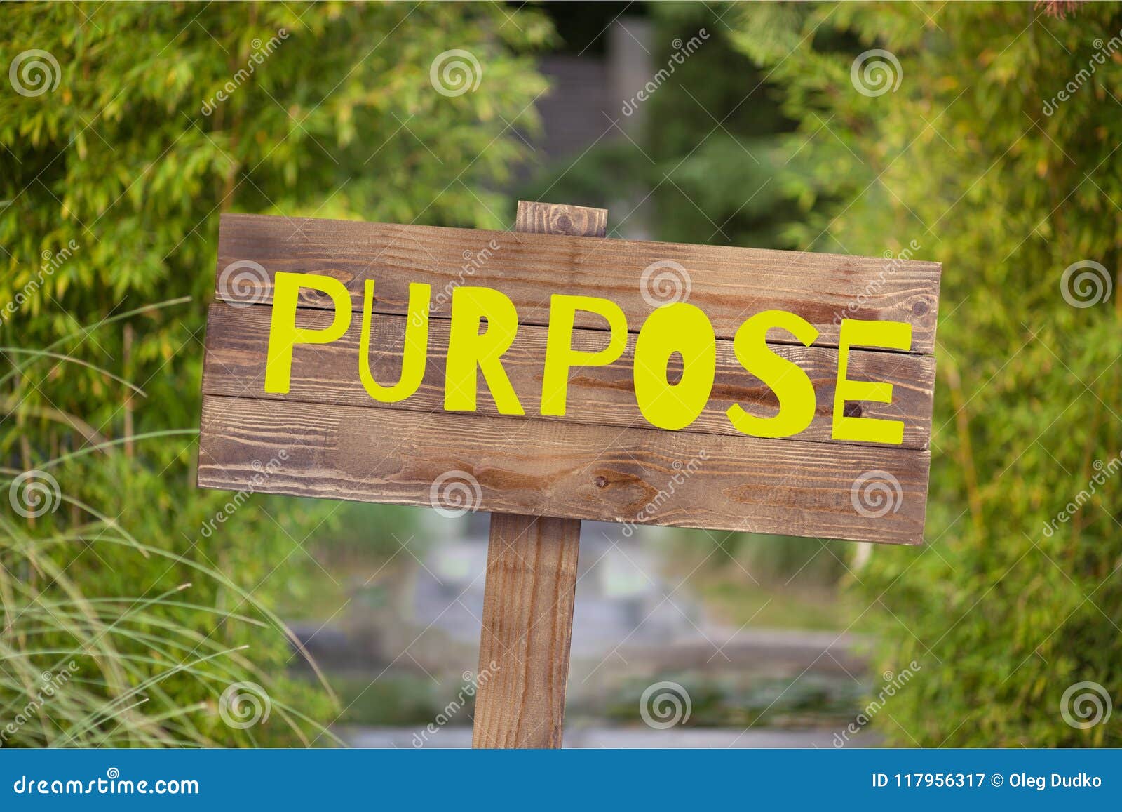 Purpose stock image. Image of inspirational, life, creativity - 117956317