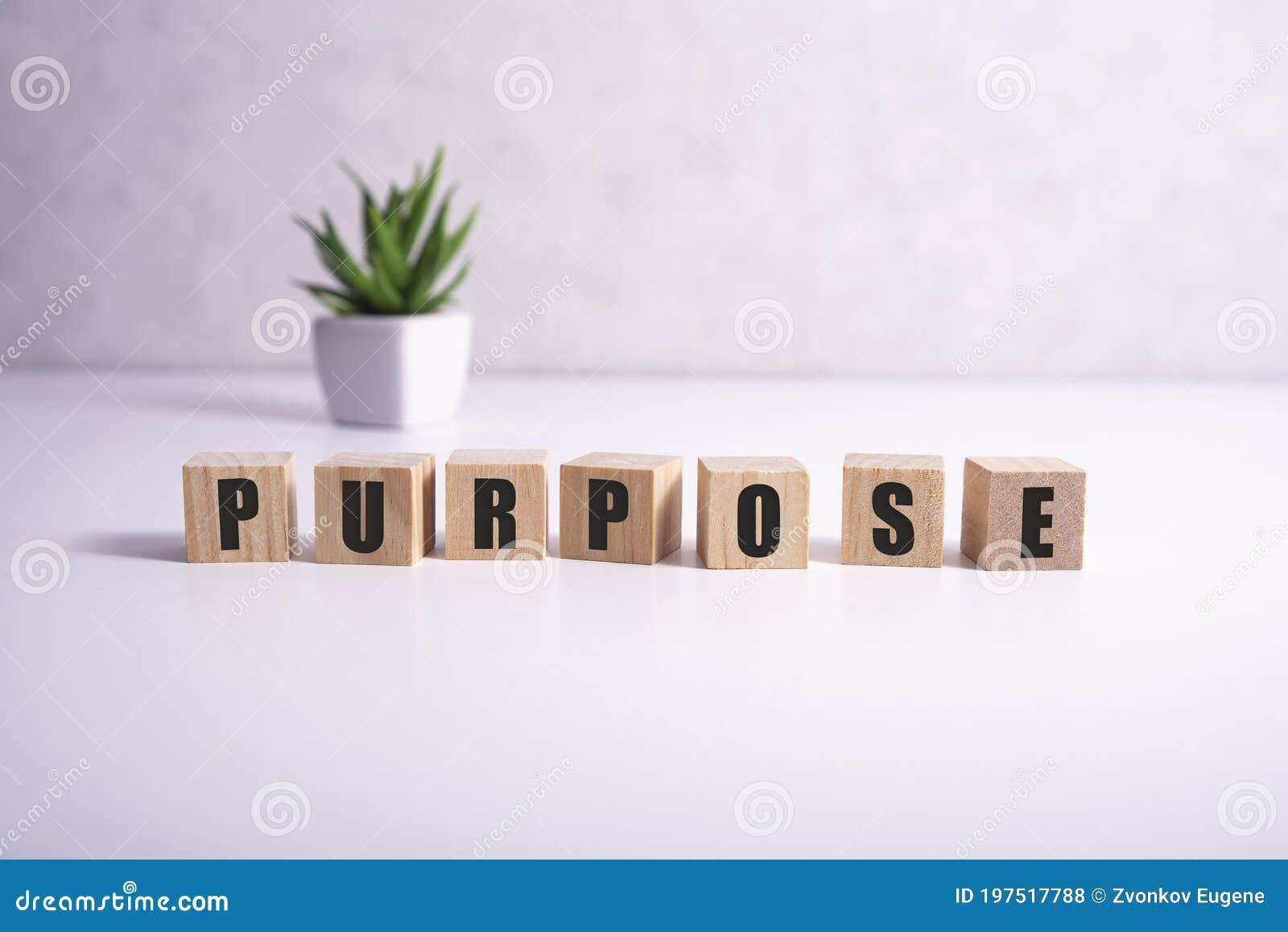 Purpose Word Written in Wooden Cube on White Stock Photo - Image of ...