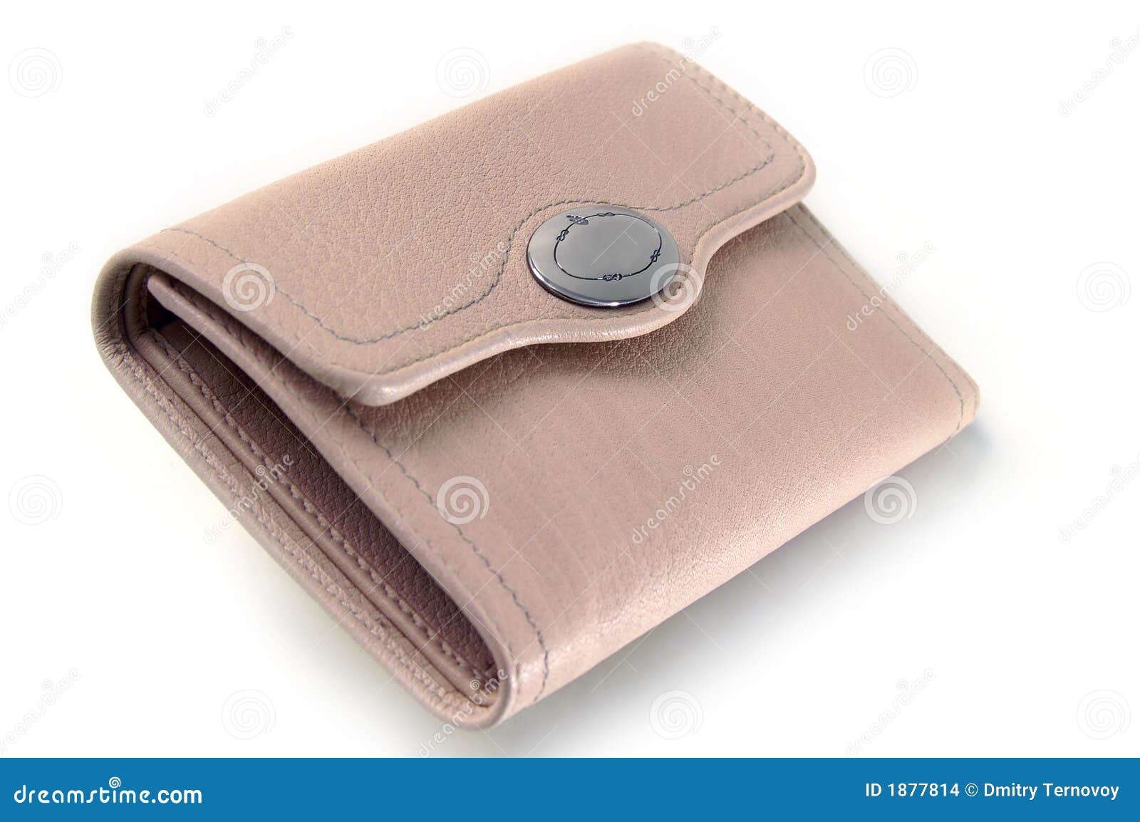 Purse stock photo. Image of notes, leather, management - 1877814