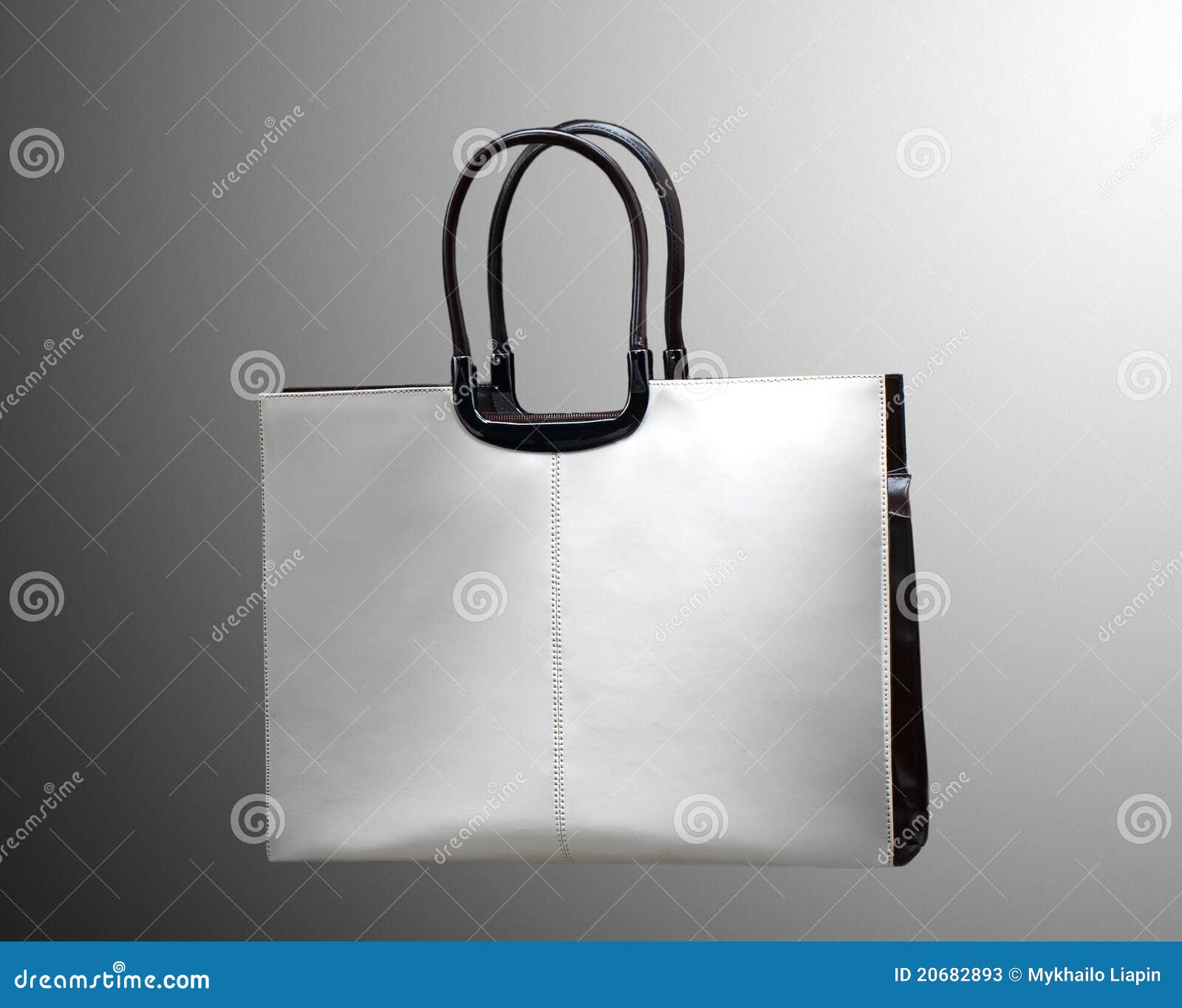 Purse stock image. Image of purchase, style, modern, buckle - 20682893