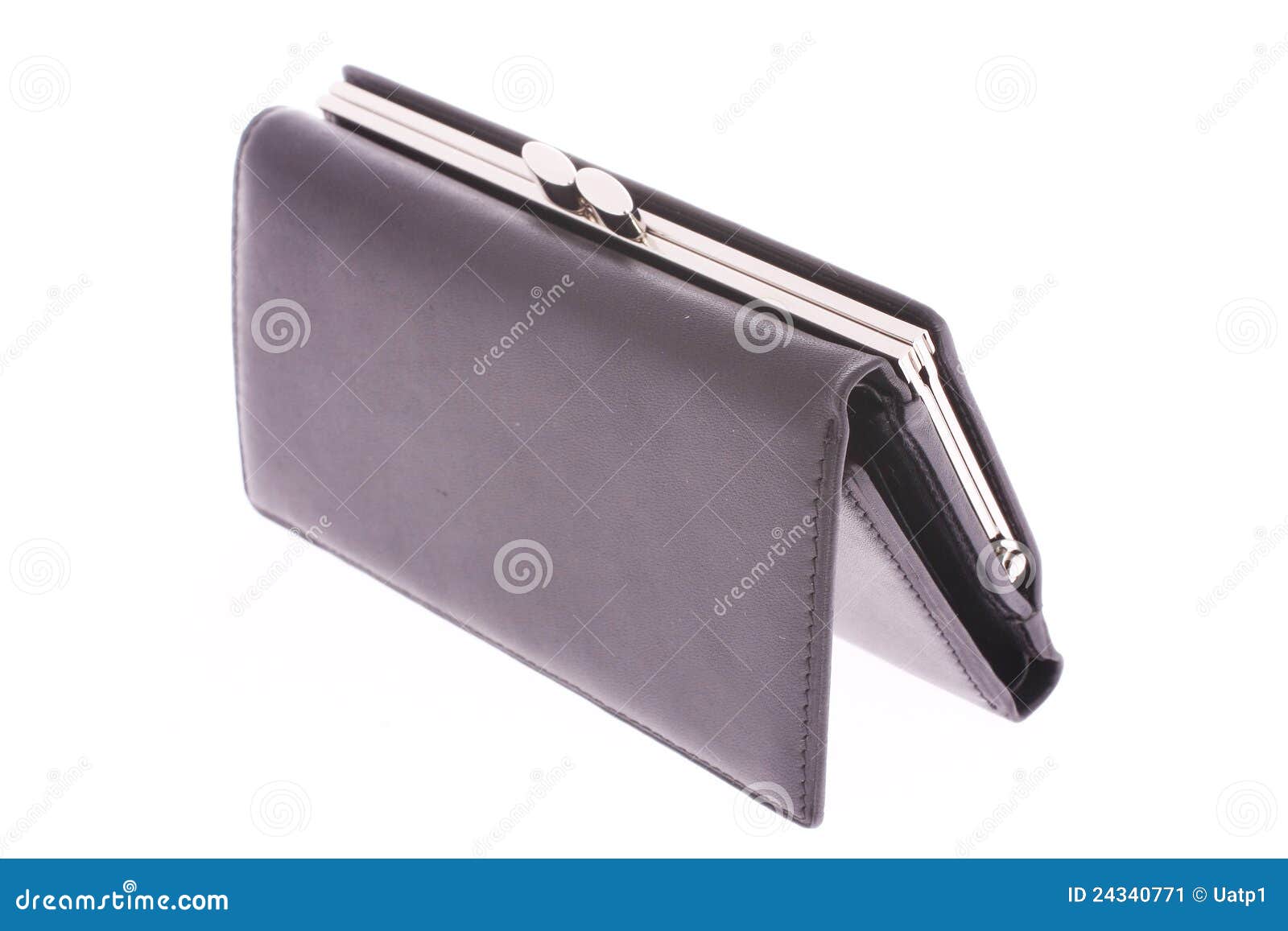 Purse stock image. Image of leather, currency, wealth - 24340771