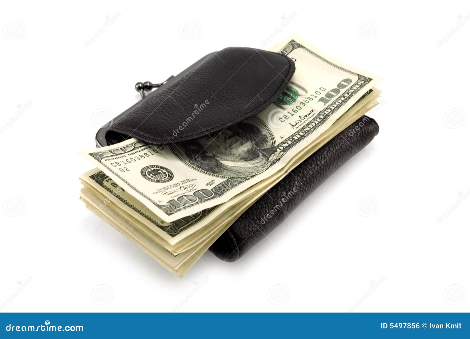 Purse stock photo. Image of purse, currency, money, concepts - 5497856