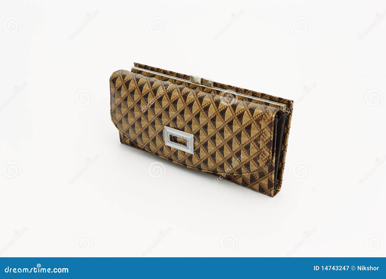 Purse for money stock image. Image of business, coin - 14743247