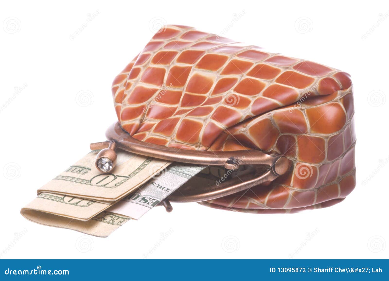 Purse with Money Isolated stock photo. Image of safekeep - 13095872