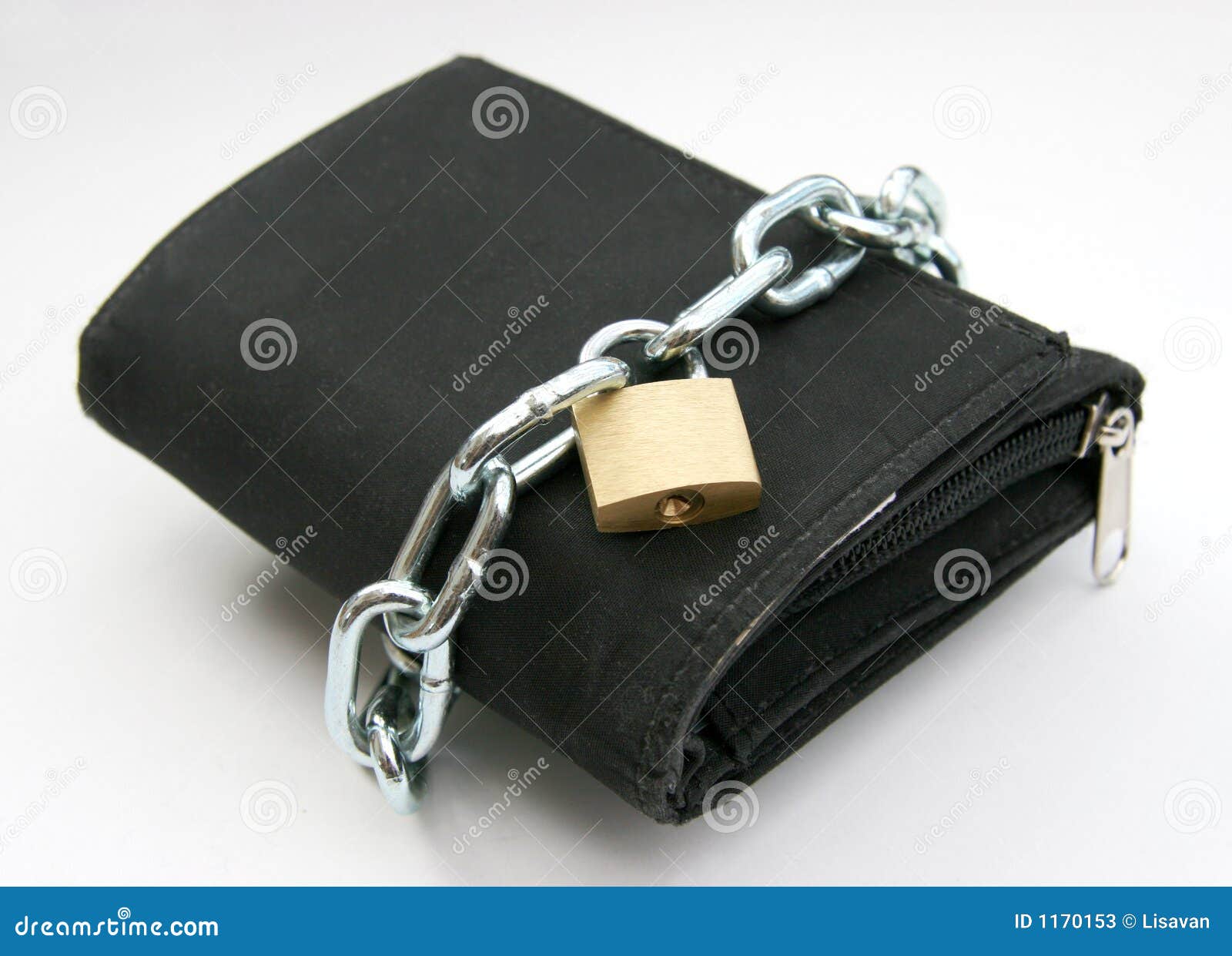 Purse with padlock 2 stock image. Image of savings, spend - 1170153