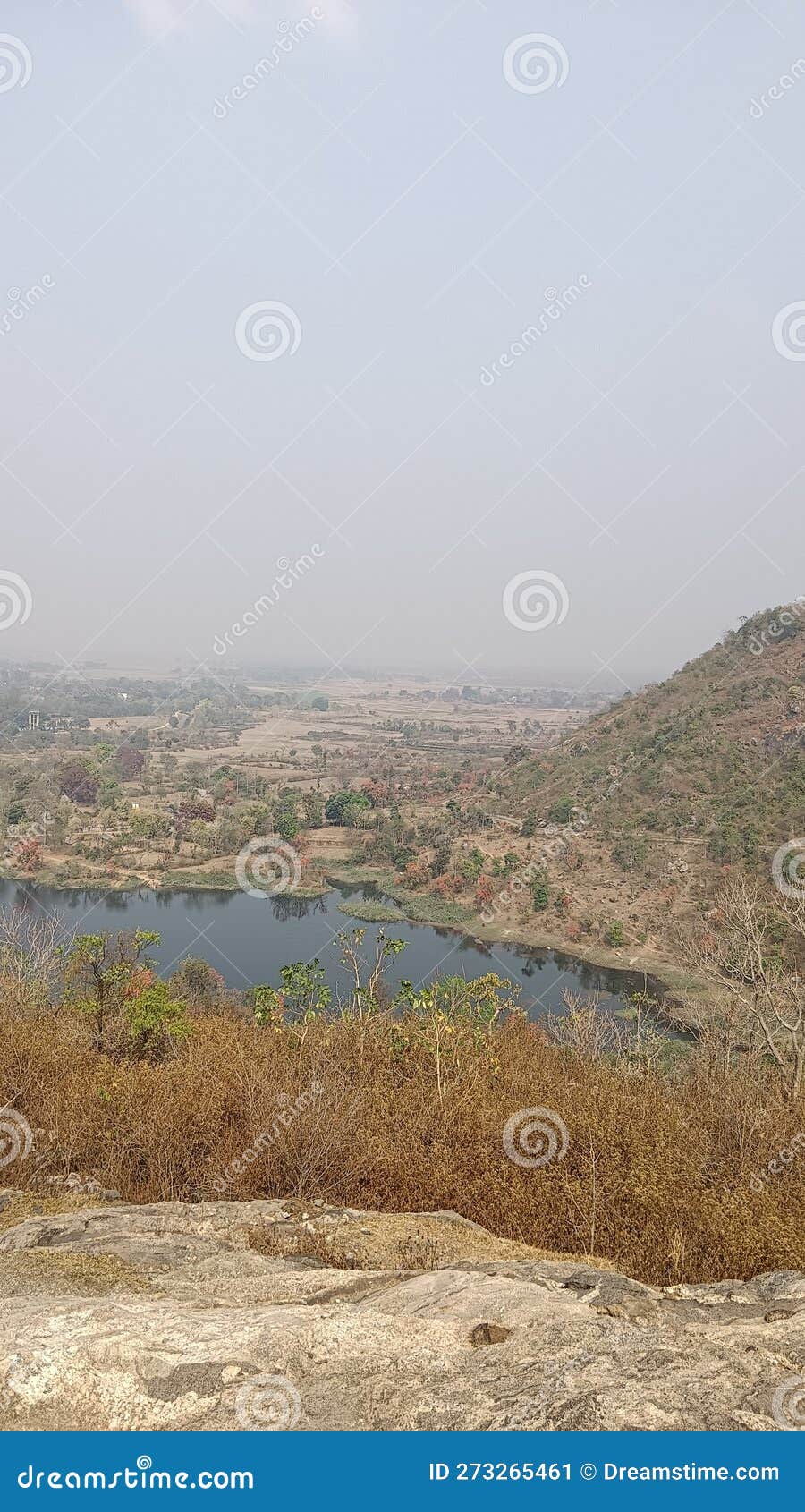 Purulia Upper Dam Sal Forest Stock Photos - Free & Royalty-Free Stock ...