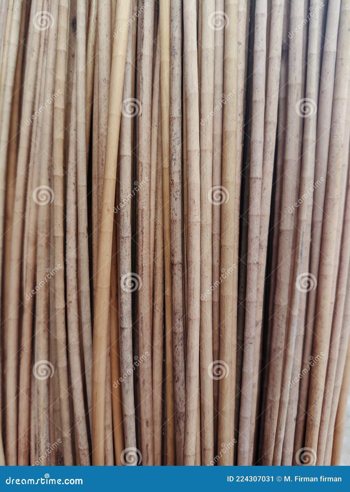 Purun Garden Surface Texture in Indonesia Stock Image - Image of ...