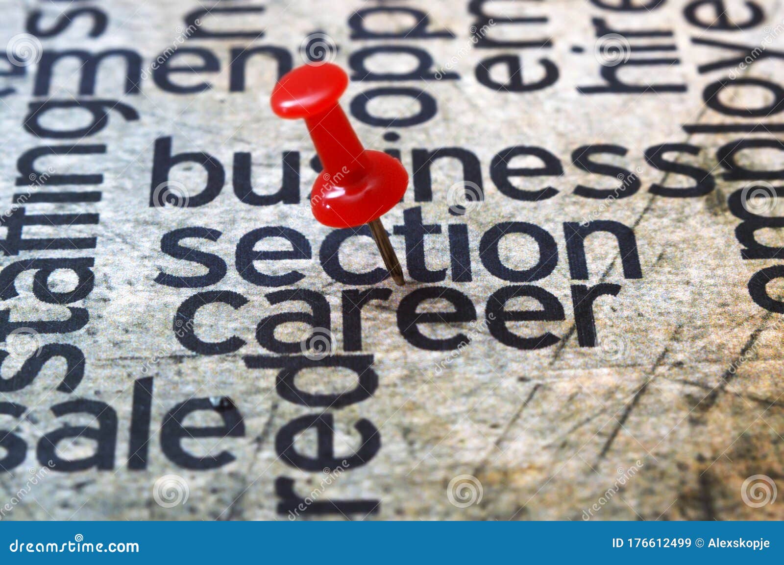 Push pin on career text stock image. Image of employer - 176612499