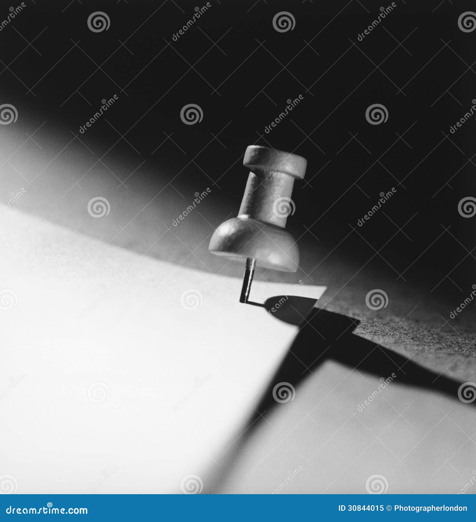 Push Pin Holding Down Paper (b&w) (close-up) Stock Image - Image of ...