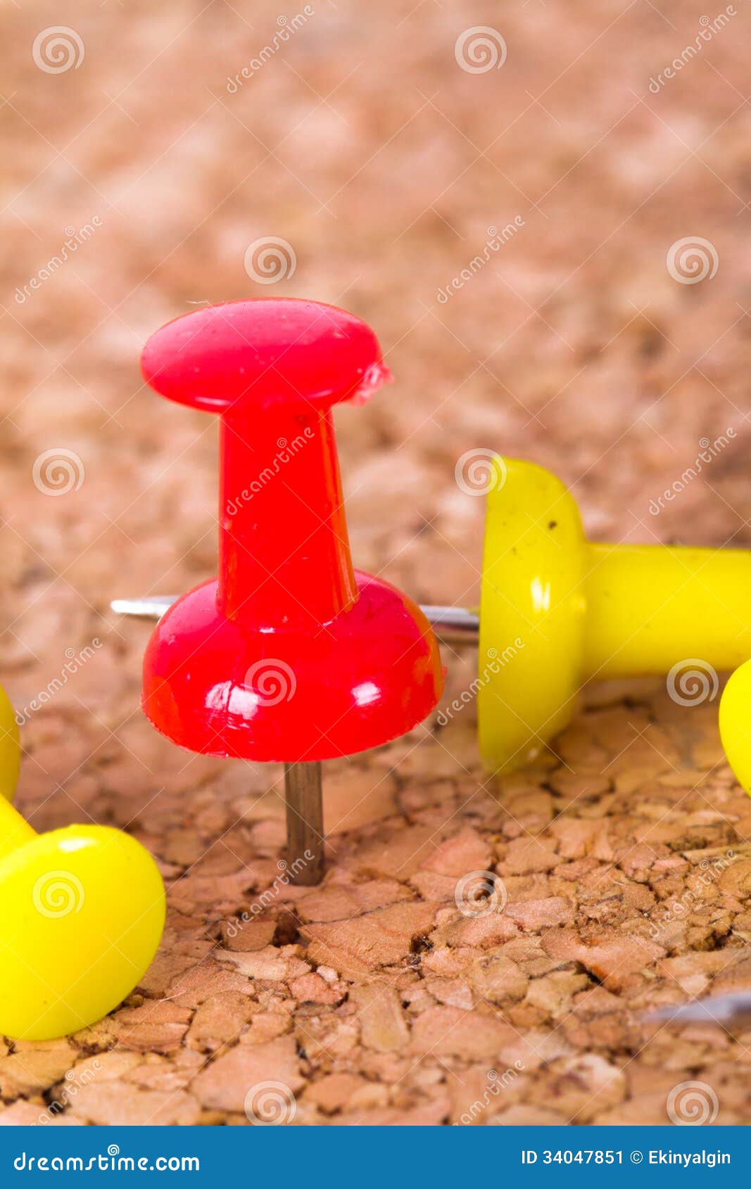 Push Pin Standing Out stock image. Image of notice, pinned - 34047851
