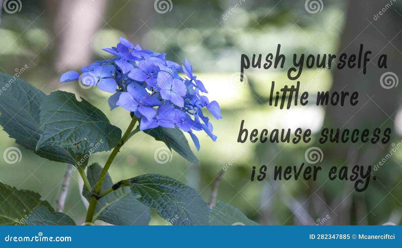 Push Yourself a Little More because Success is Never Easy. Success ...