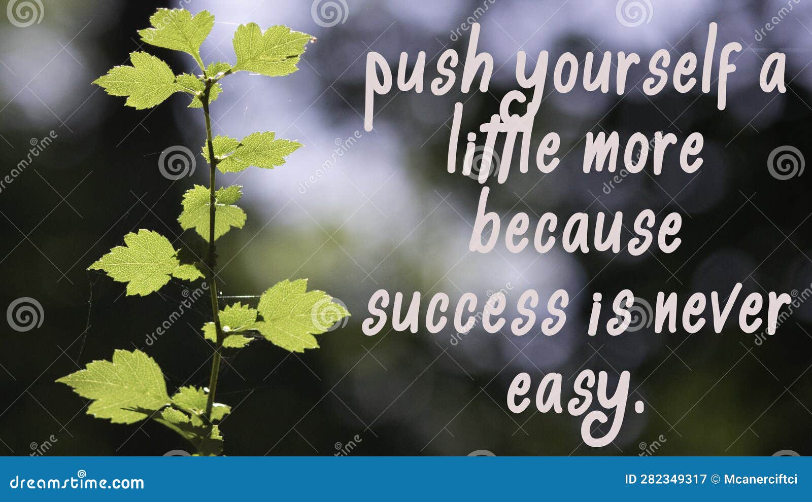 Push Yourself a Little More because Success is Never Easy. Success ...