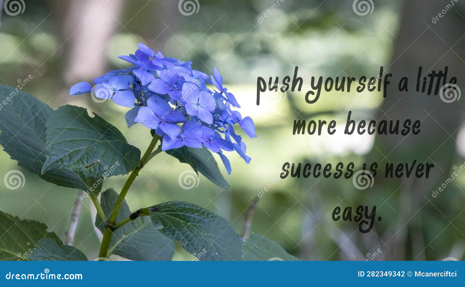 Push Yourself a Little More because Success is Never Easy. Success ...