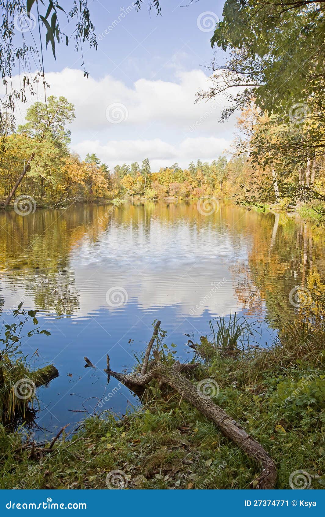 Pushcha-Vodytsia 2 imagen de archivo. Imagen de superficie - 27374771