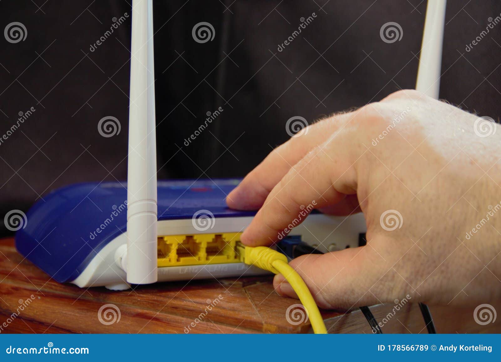 Pushing the Cable into the Wifi Router for Networking Stock Image ...