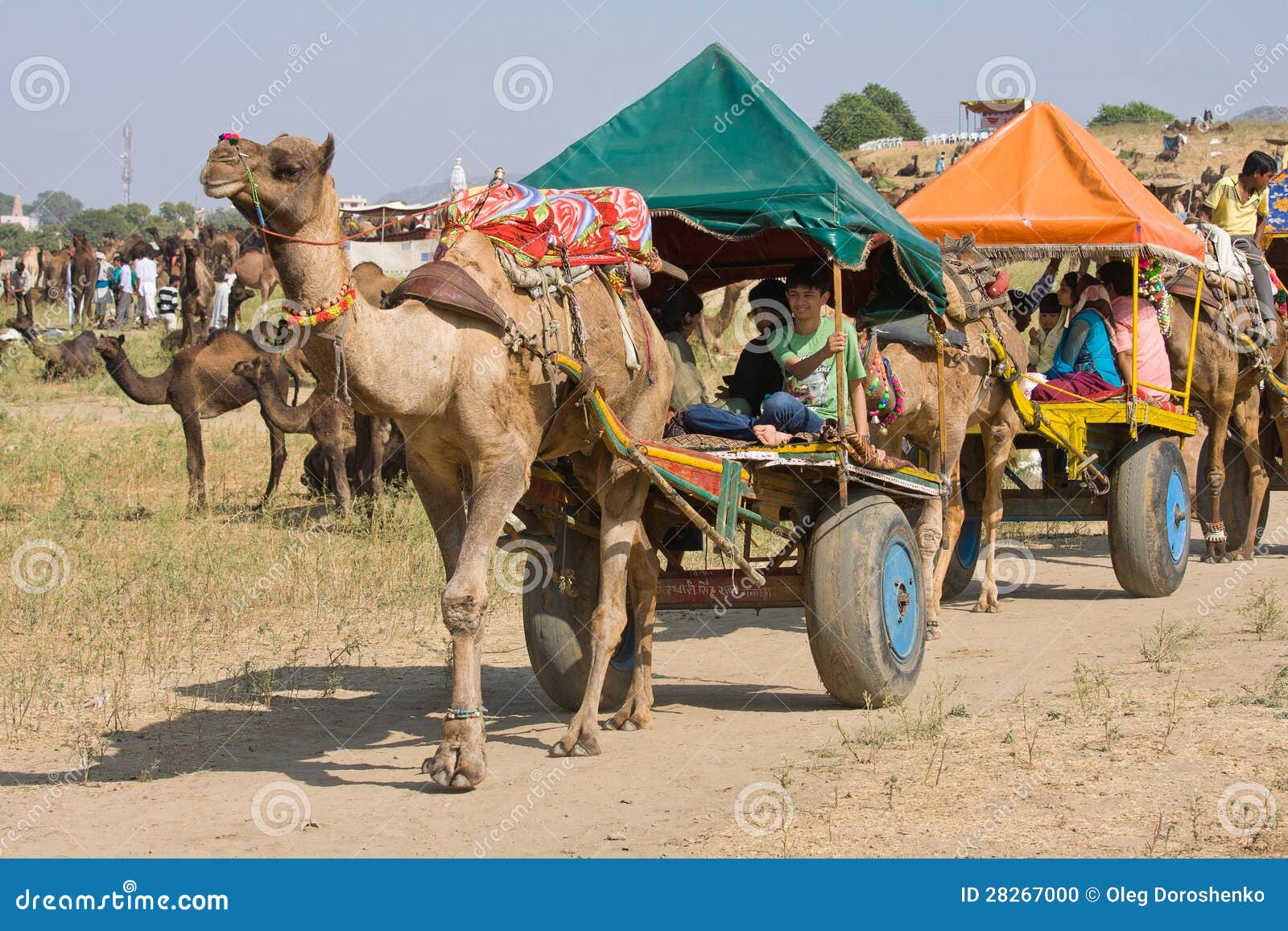 Pushkar Camel Mela (Pushkar Camel Fair) Editorial Image - Image of ...