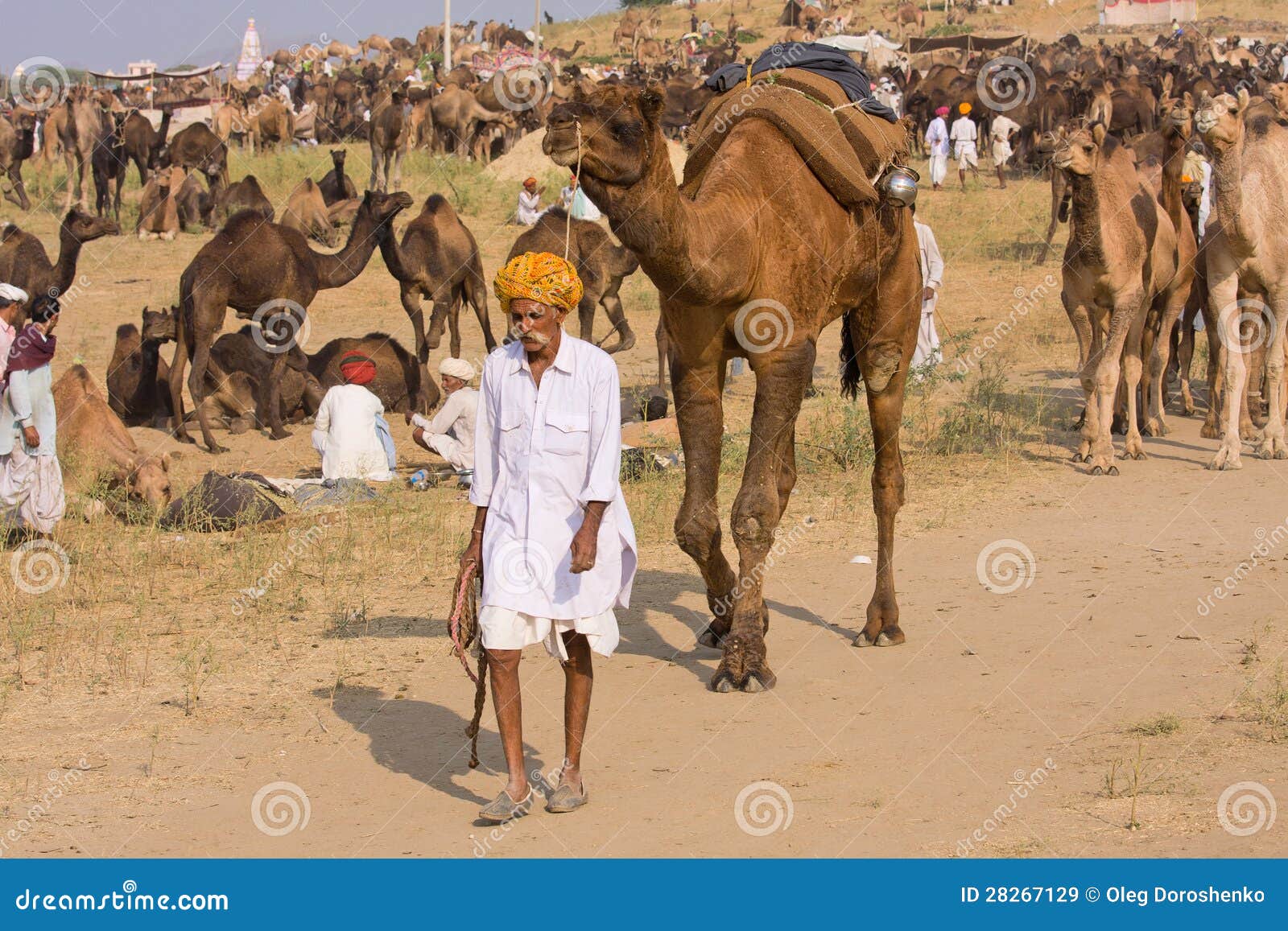 Pushkar Camel Mela (Pushkar Camel Fair) Editorial Stock Image - Image ...