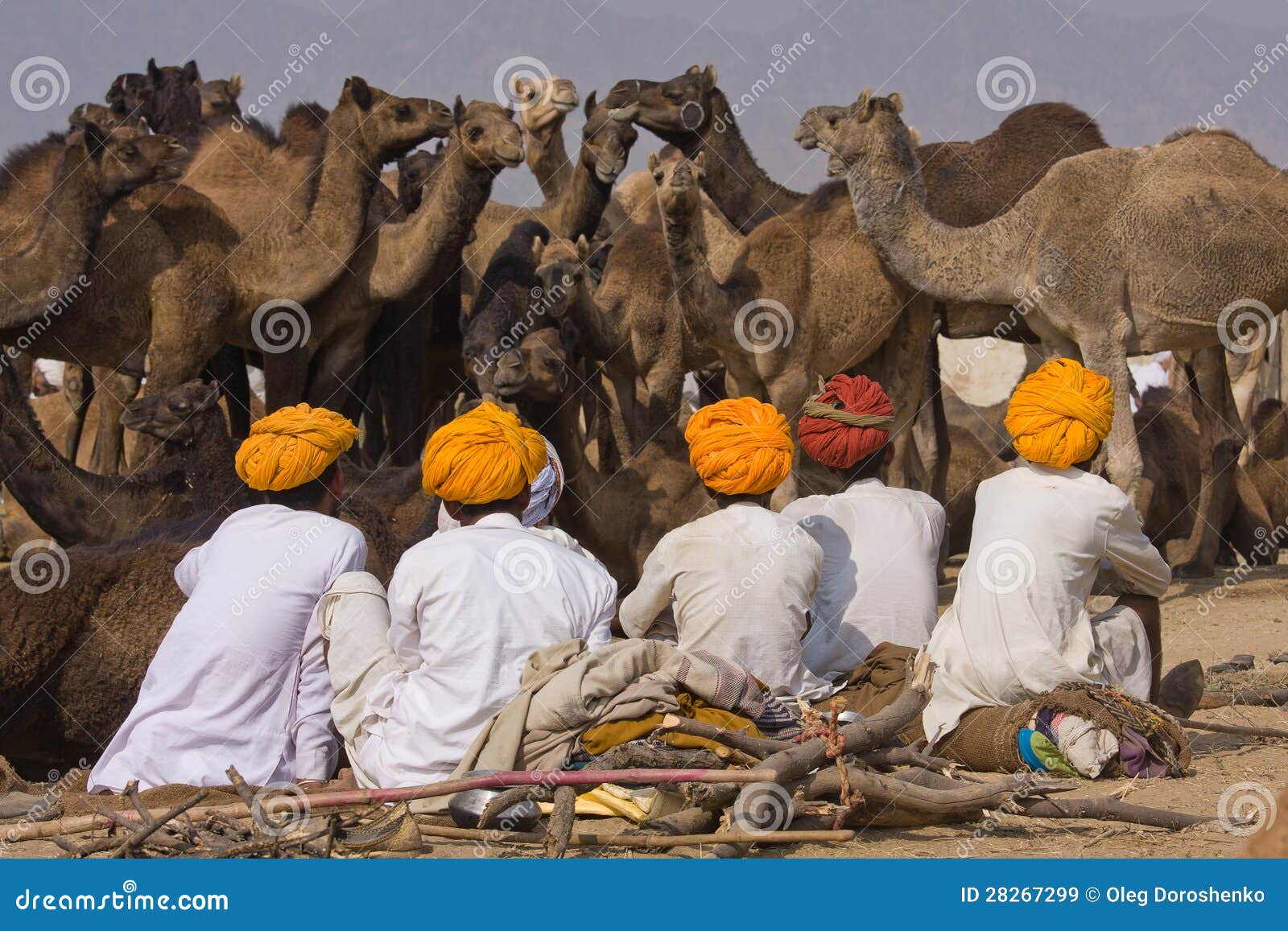 Pushkar Camel Mela (Pushkar Camel Fair) Editorial Stock Image - Image ...