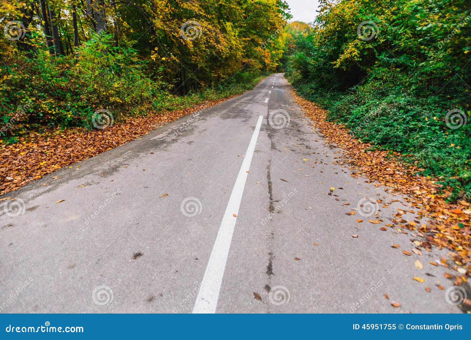 Pusta jesieni ulica obraz stock. Obraz złożonej z trasa - 45951755