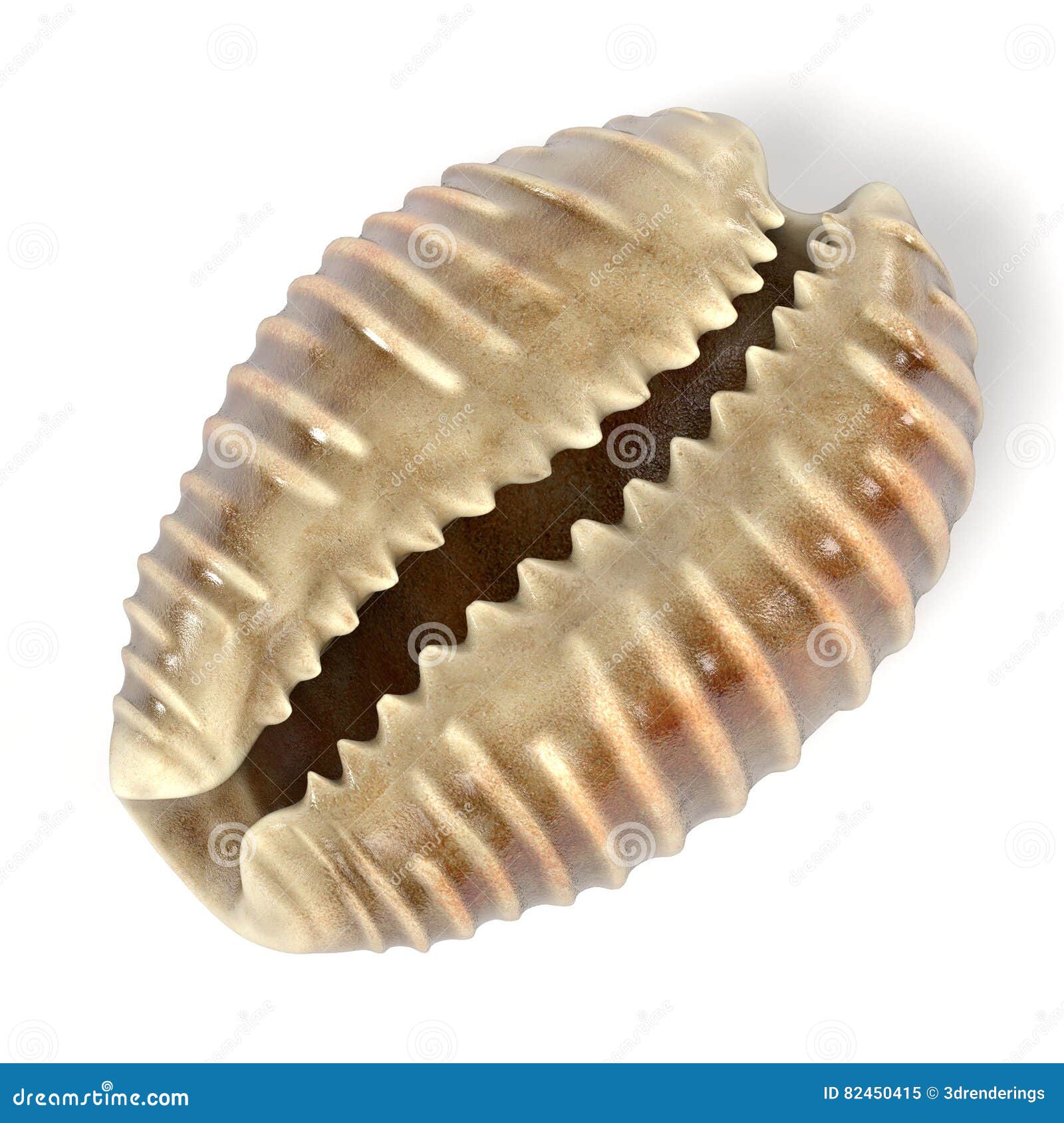 Pusula Pediculus Coffee Bean Trivia Stock Illustration - Illustration ...