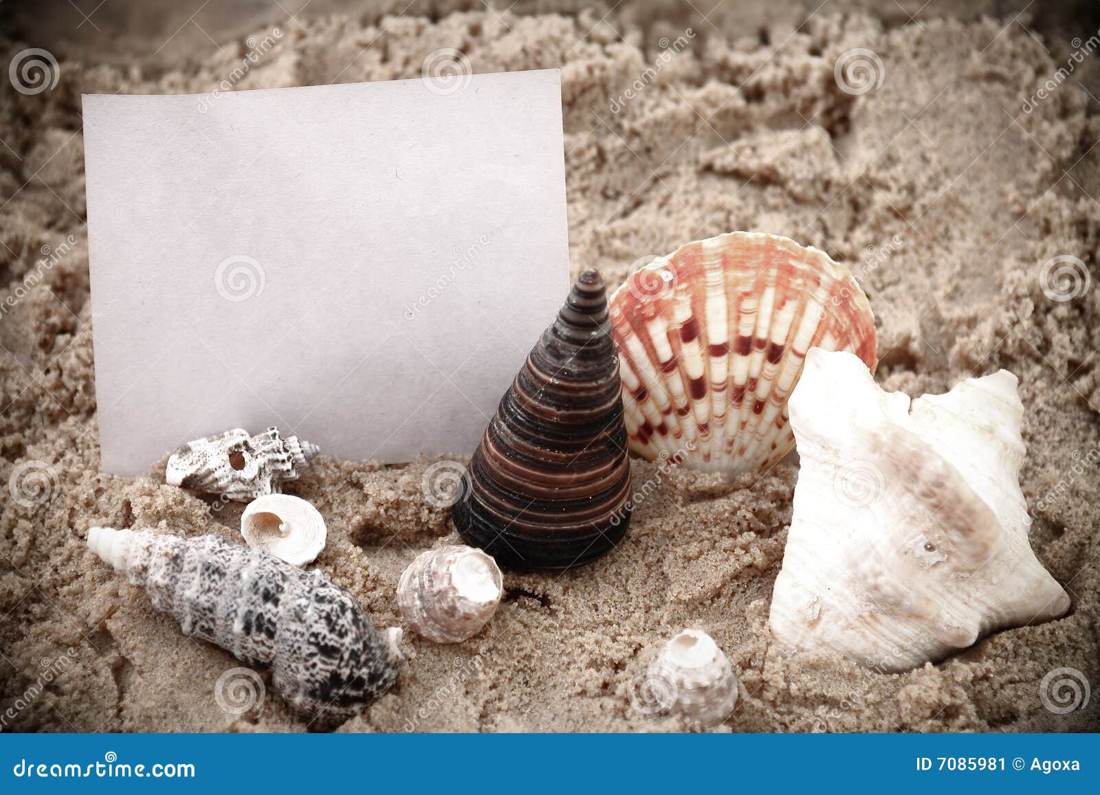 Put here your message stock image. Image of paper, coupon - 7085981