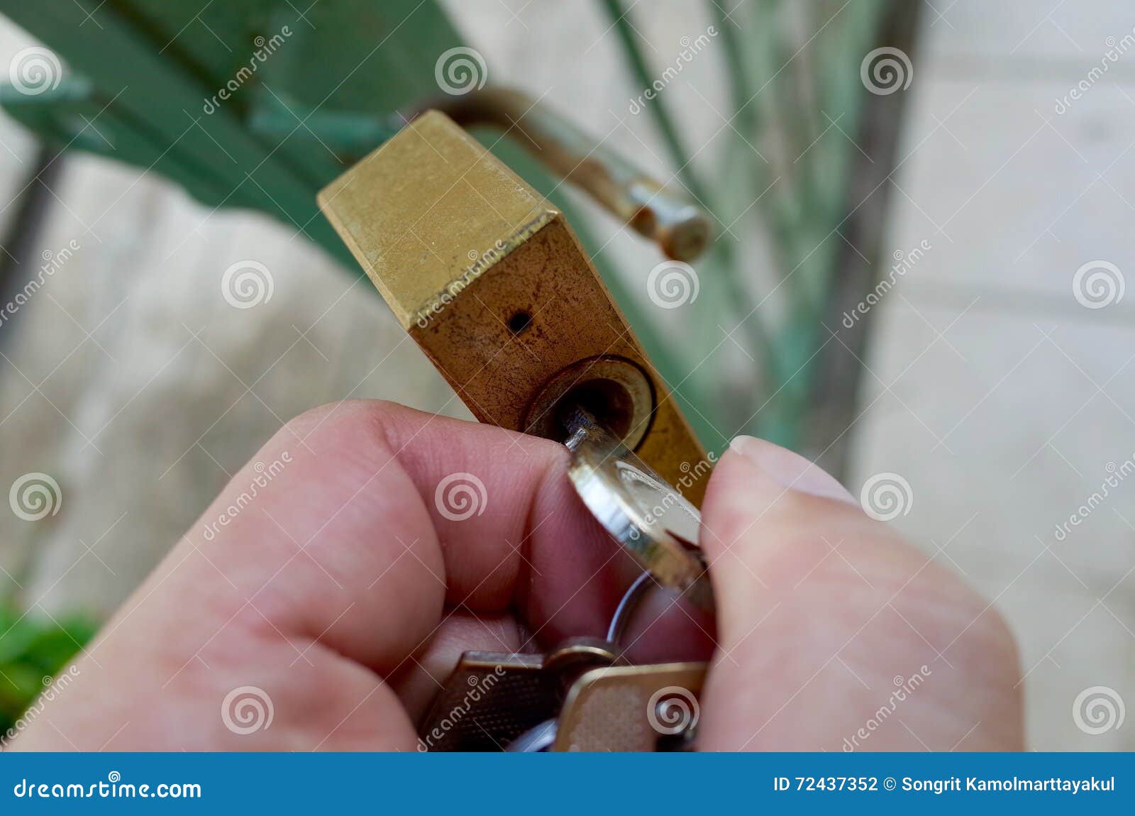 Put the Right Key in the Right Lock. Stock Photo - Image of lock ...