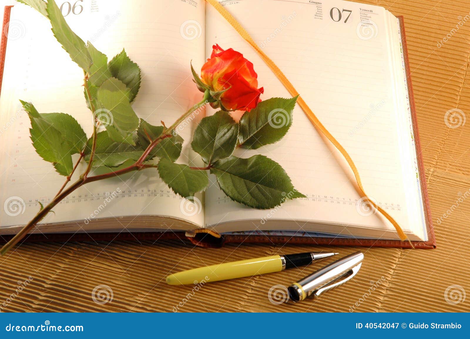 Put a rose in your diary stock image. Image of feeling - 40542047