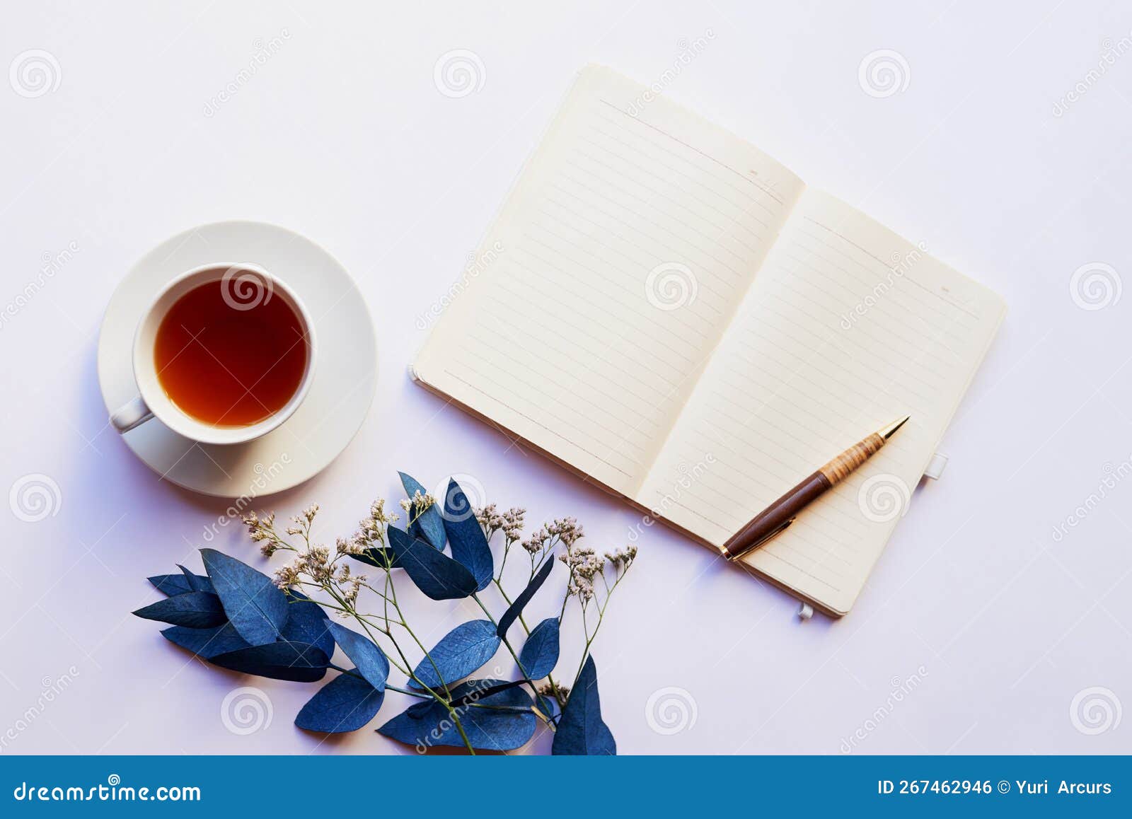 Put Your Thoughts on Pen and Paper. Studio Shot of a Diary and Pen ...