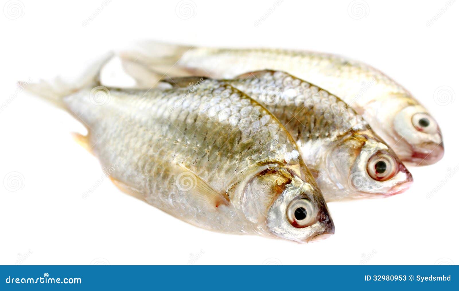 Puti Fish Stock Photos - Image: 32980953