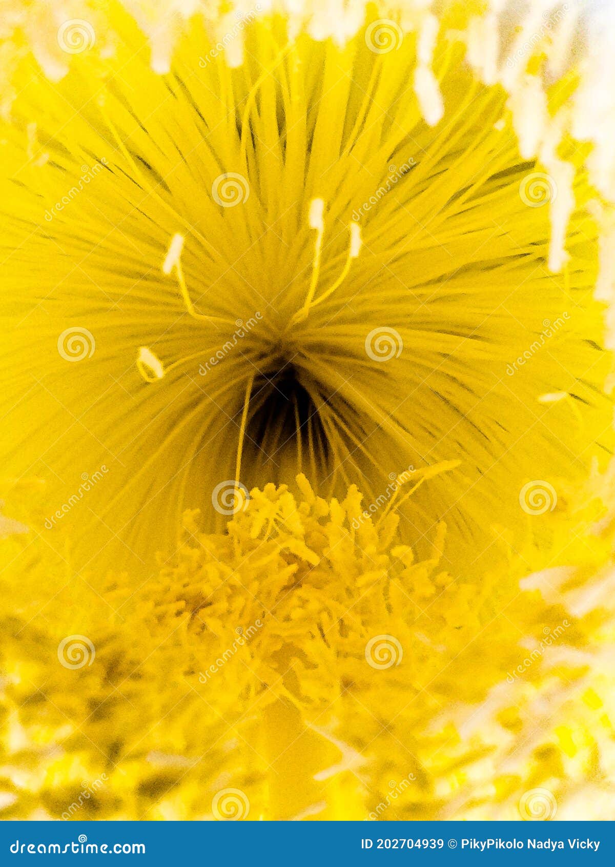 Putic Stock Photos - Free & Royalty-Free Stock Photos from Dreamstime