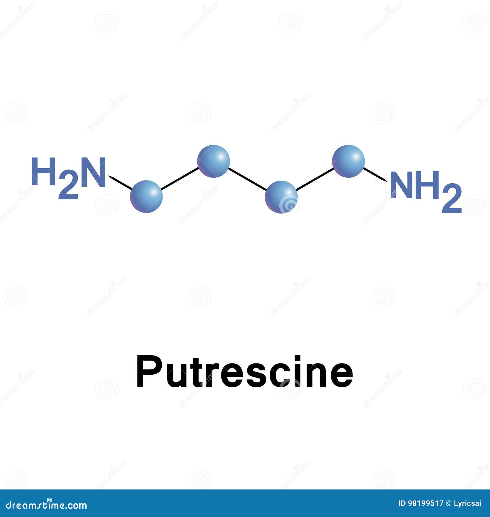 Putrescine, of Tetramethylenediamine Vector Illustratie - Illustration ...