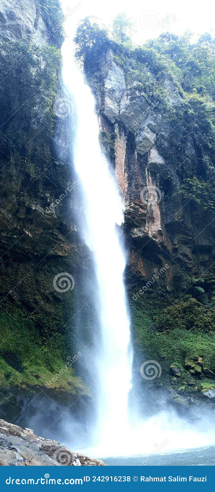 Putri Malu Waterfall stock photo. Image of reflection - 242916238
