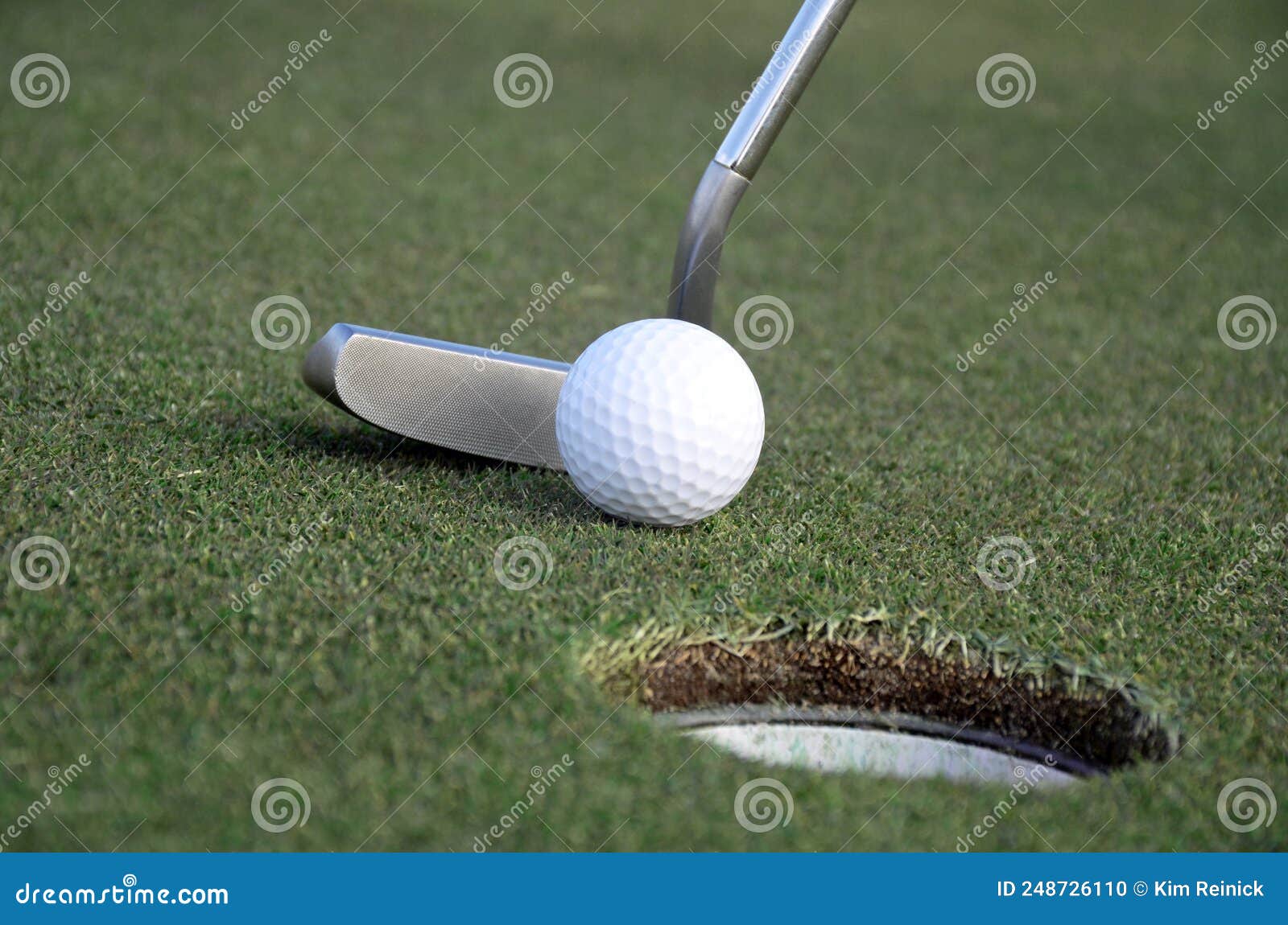 Putter and a golf ball stock photo. Image of golfing - 248726110