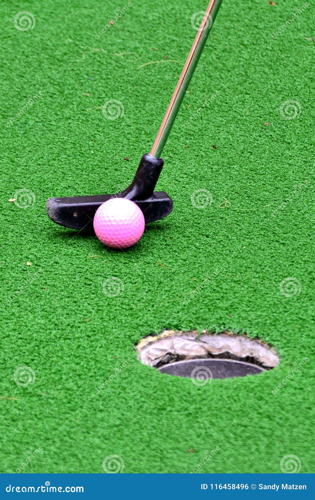 Putter Hitting a Pink Golf Ball Stock Photo - Image of coloured ...