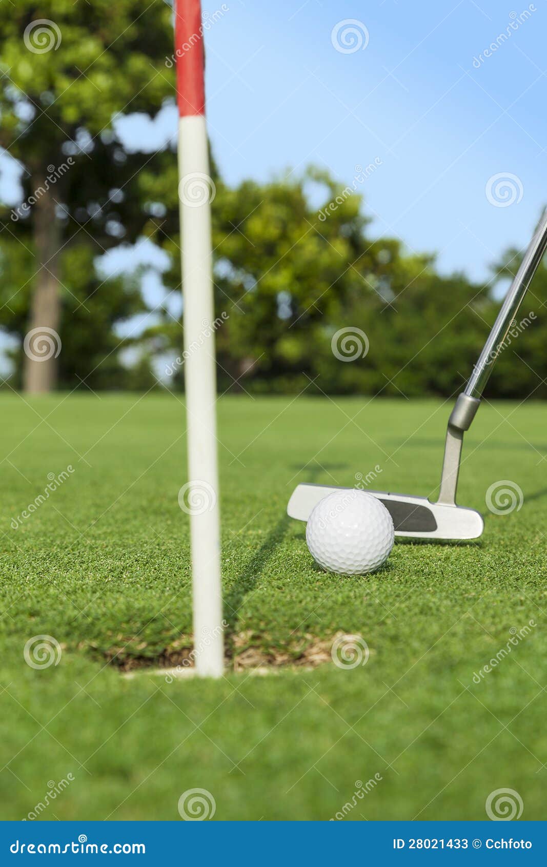 Putter Puts a Golf Ball To Hole Stock Image - Image of winner, golf ...