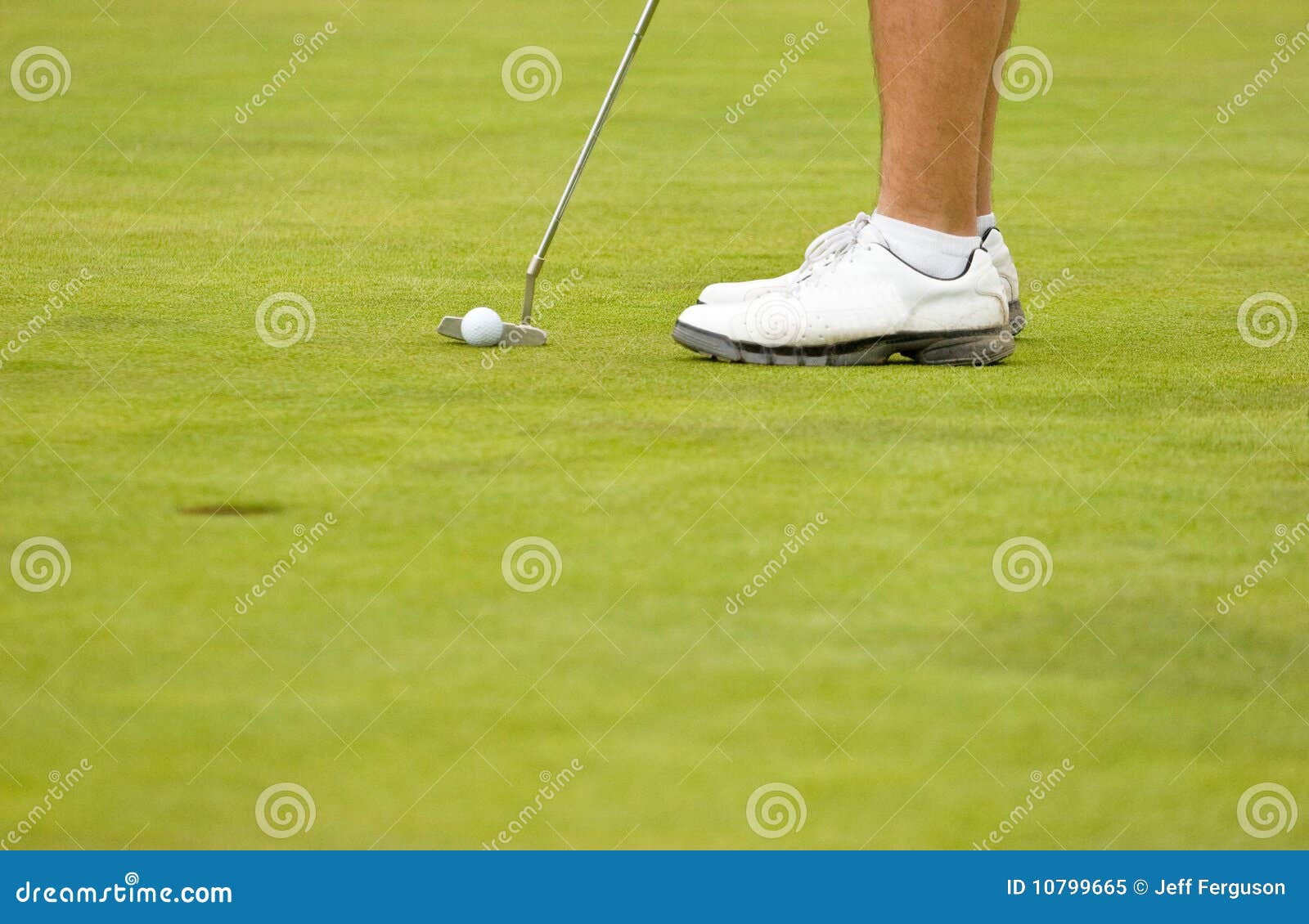 Putting stock image. Image of putt, golf, birdie, sporting - 10799665