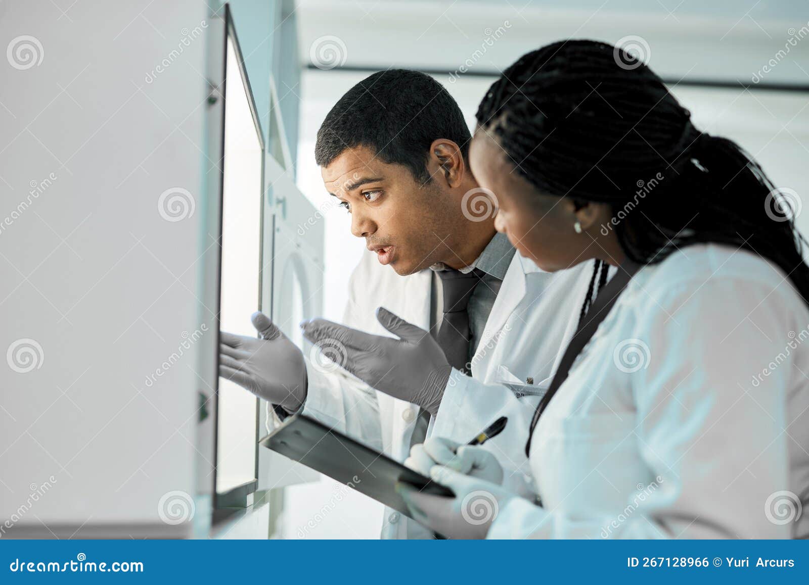 Putting All Their Data Together. Two Scientists Working Together in a ...