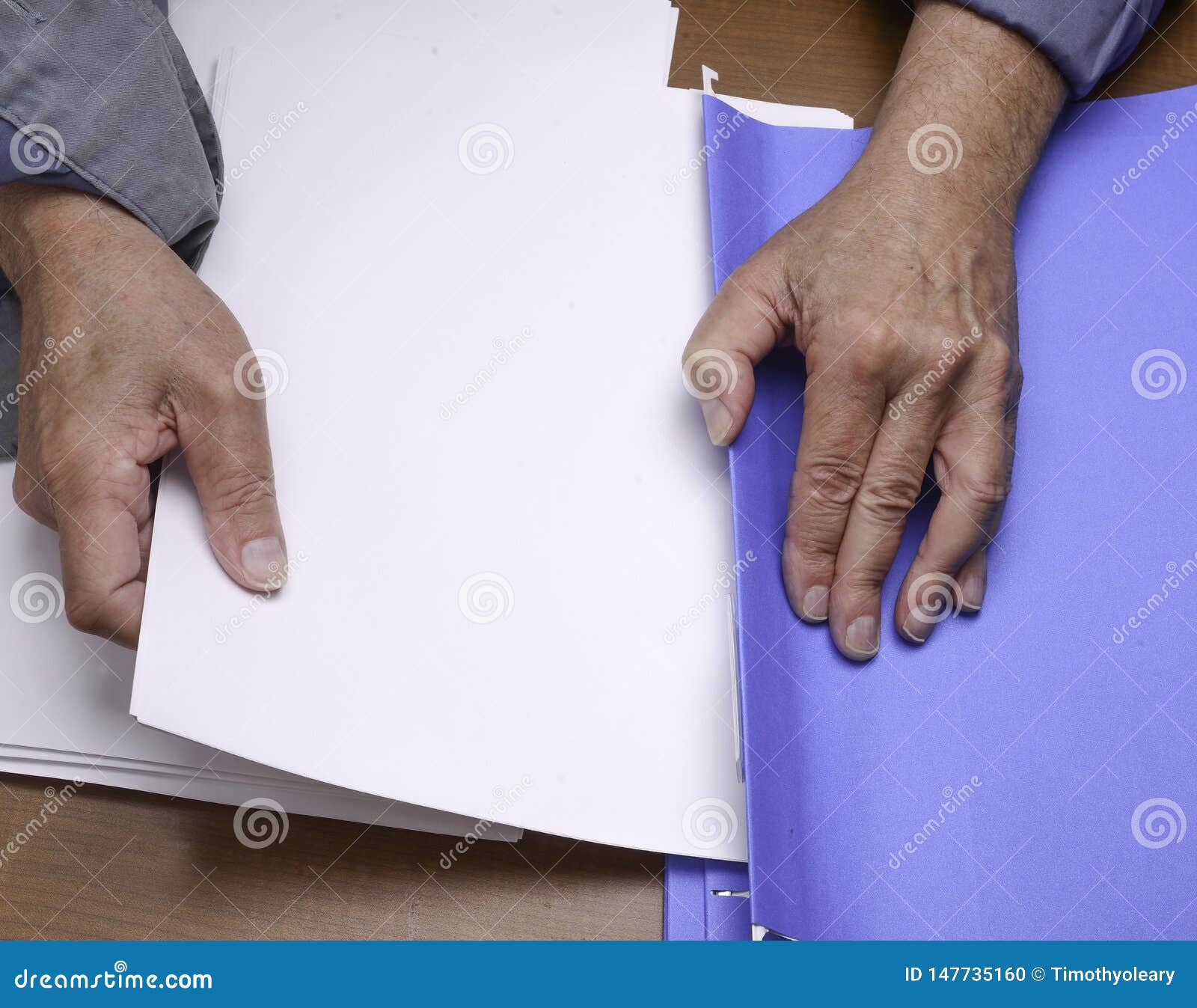 Putting Away Paper in a Folder for Organization ,work,order and Future ...