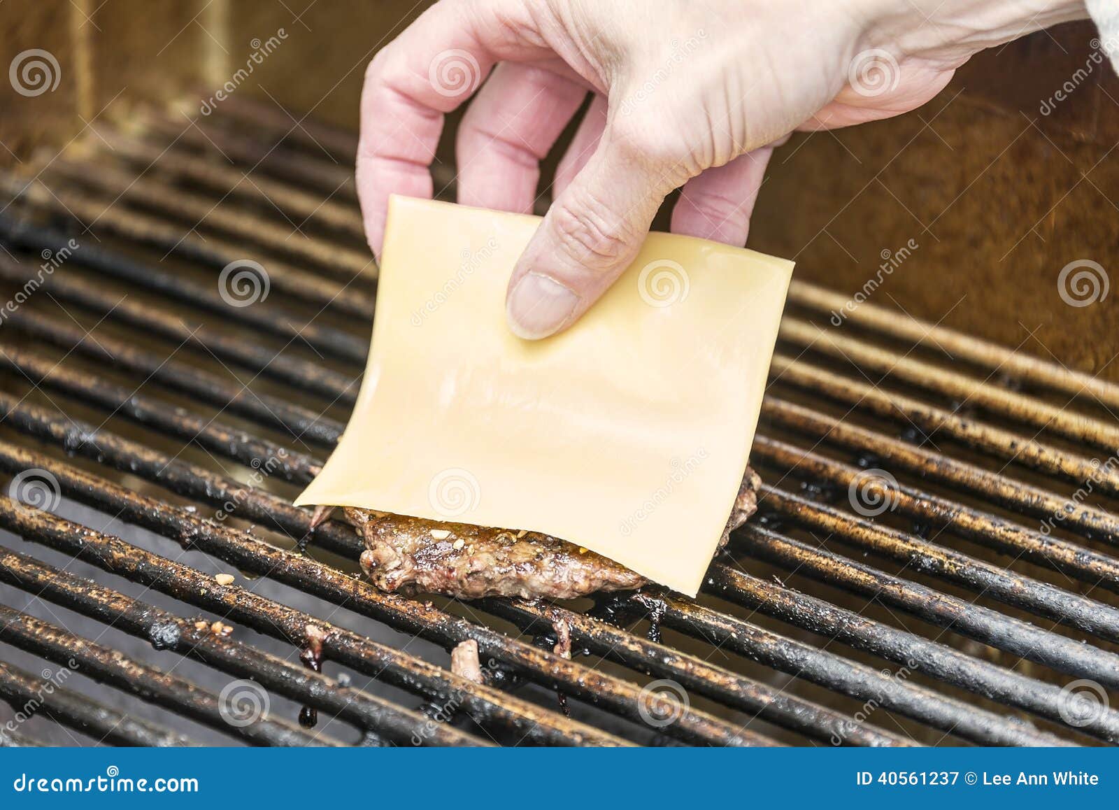 Putting Cheese on a Grilled Hamburger Stock Image - Image of grilling ...