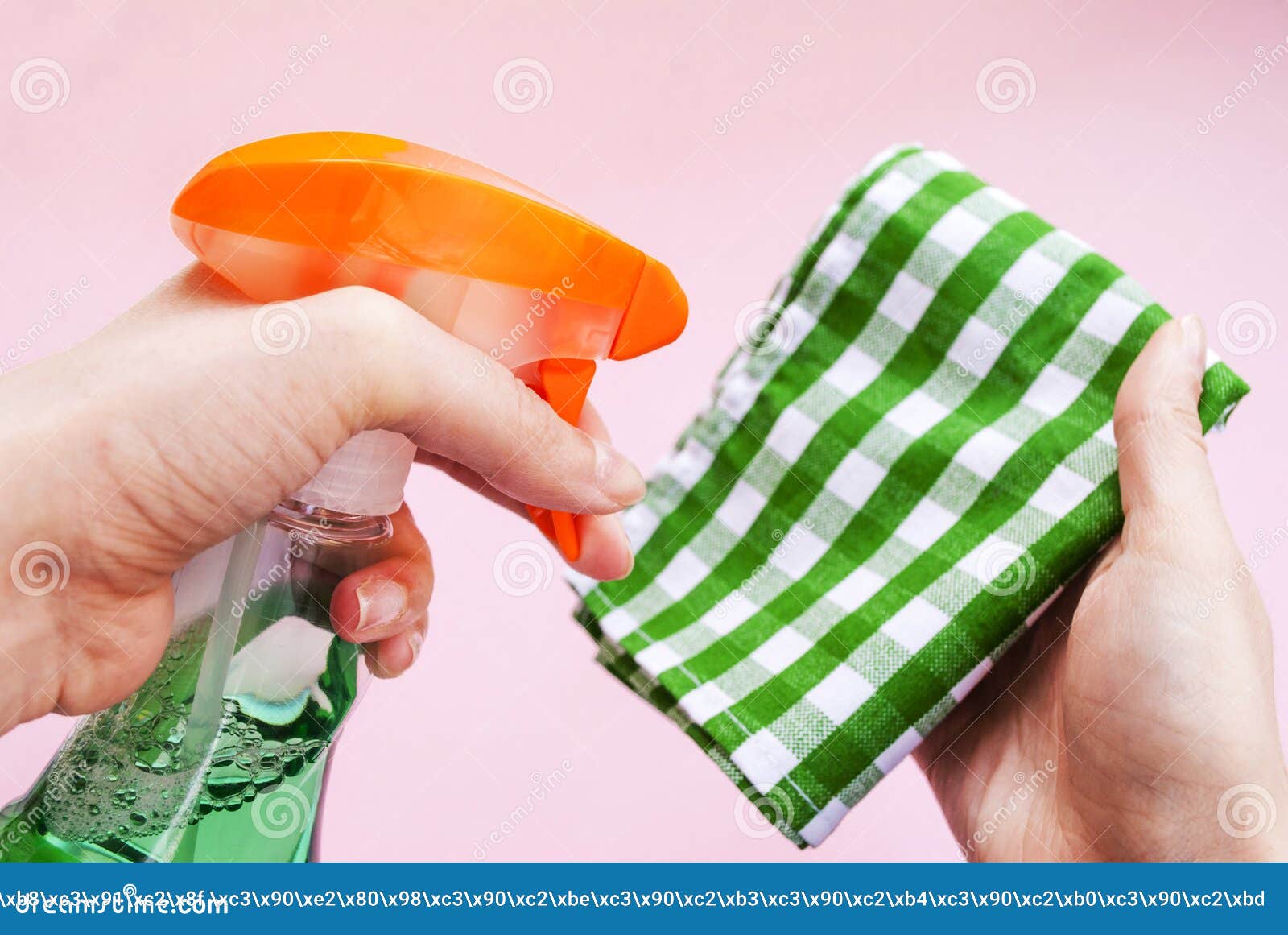 Putting Detergent on a Napkin. Cleansing Stock Photo - Image of female ...