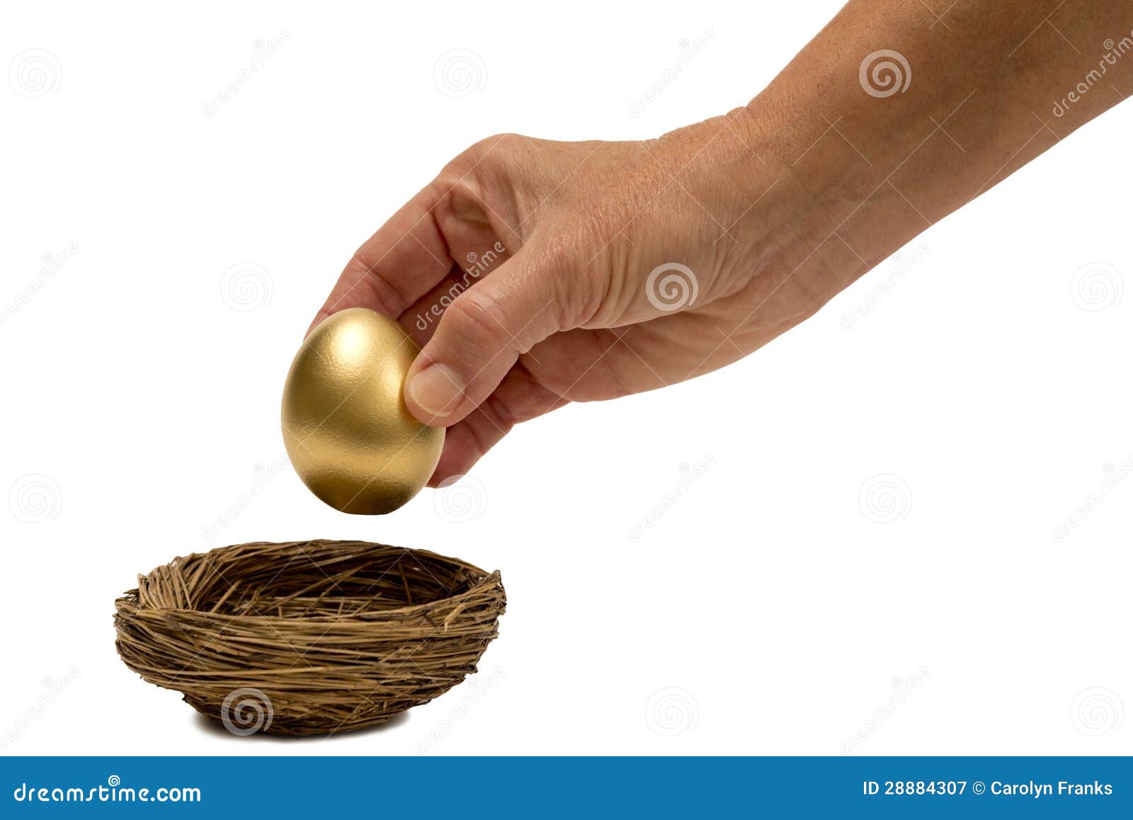 Putting Golden Egg in Nest stock image. Image of financing - 28884307