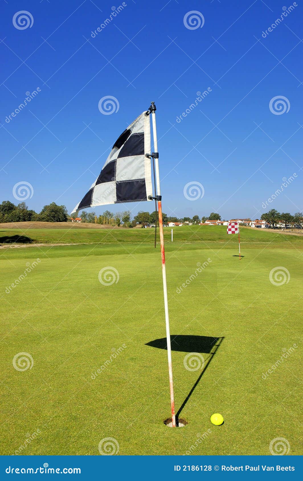 Putting the golf ball stock photo. Image of hobby, active - 2186128