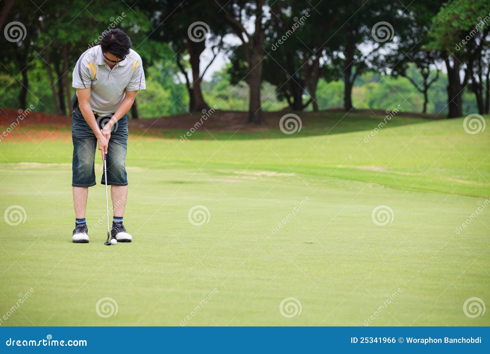 Putting on golf course stock photo. Image of court, lawn - 25341966