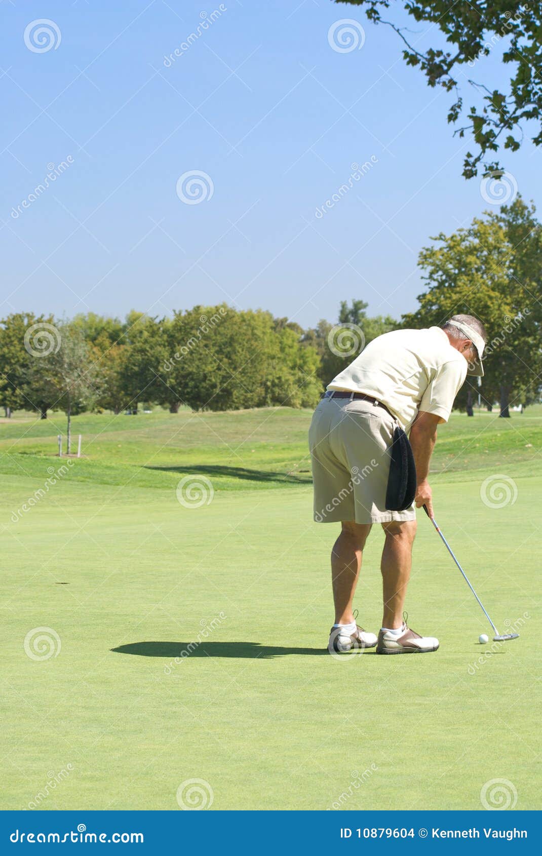 Putting Golfer stock photo. Image of summer, standing - 10879604