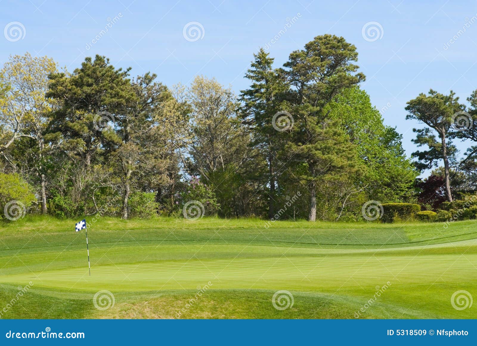 Putting Green with Flag at Golf Course Stock Image - Image of ...