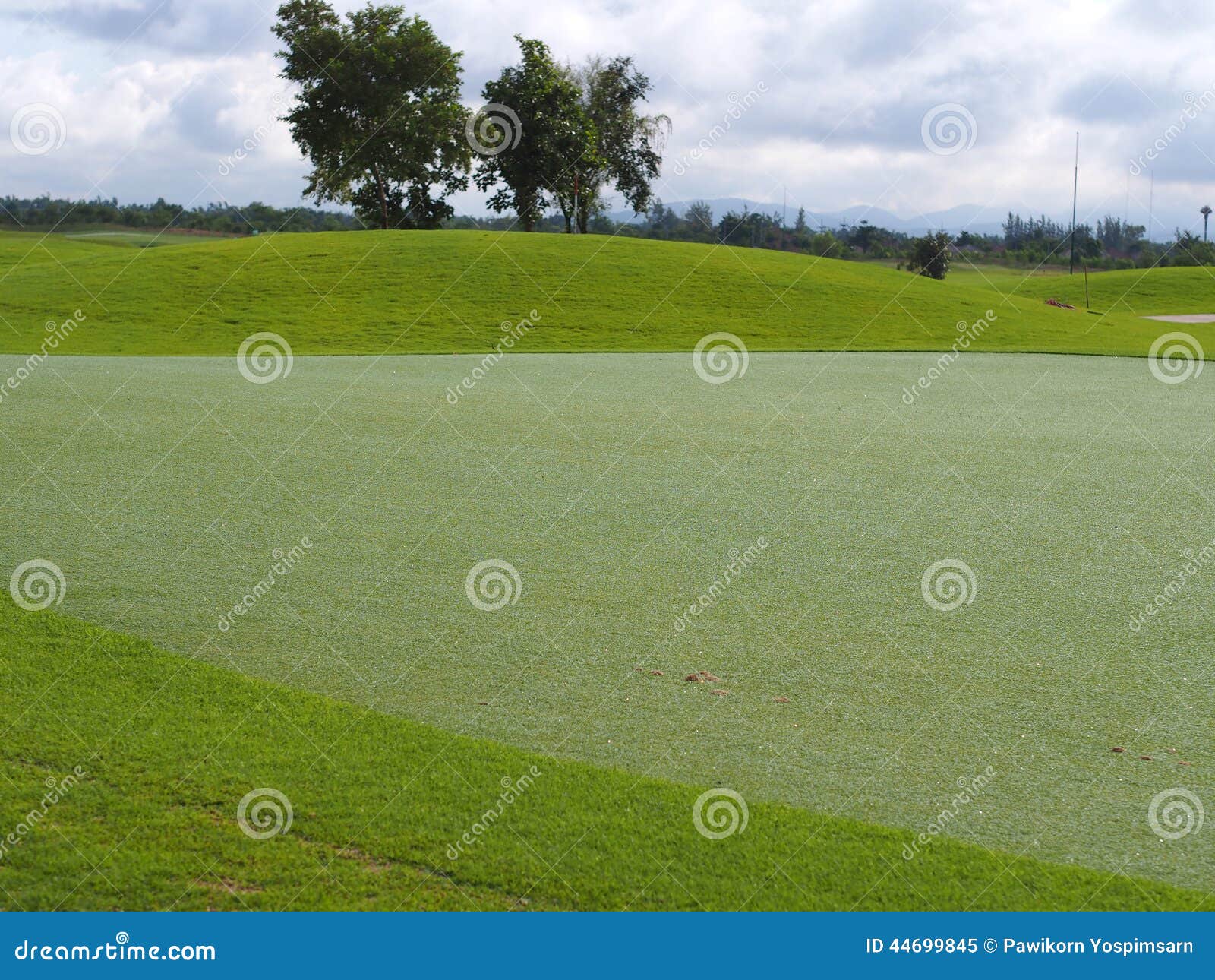 Putting Green Turf in Golf Course Stock Image - Image of country, club ...