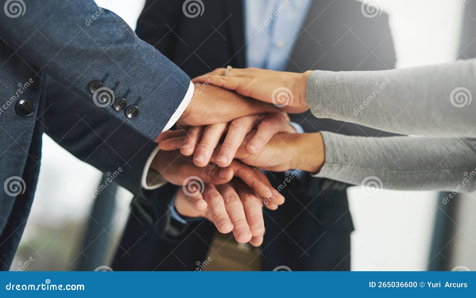 Putting Teamwork into Action. a Team of Colleagues Joining Their Hands ...