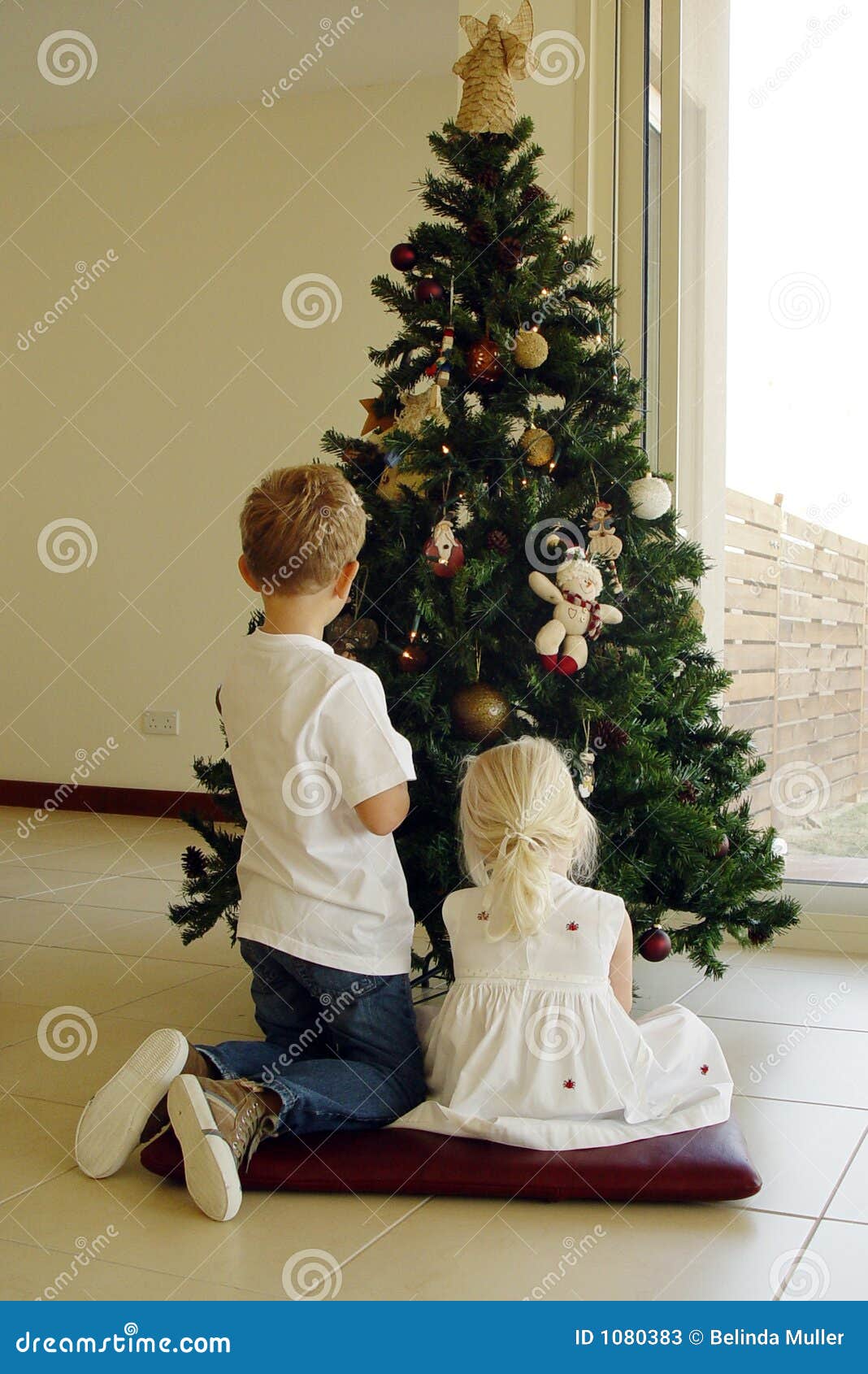 Putting Up Decorations Stock Photos - Free & Royalty-Free Stock Photos ...