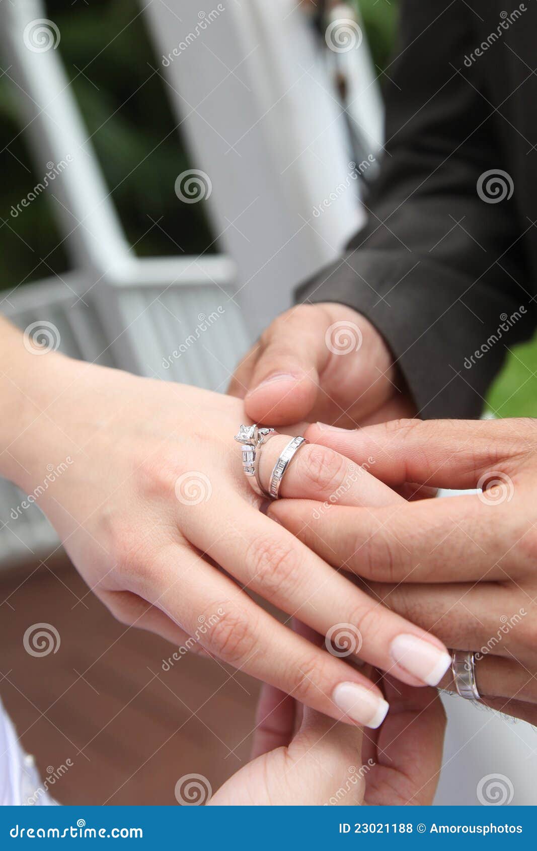 Putting on wedding ring stock photo. Image of caucasian - 23021188